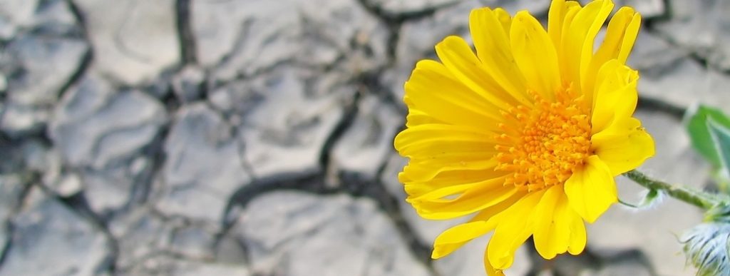 How to Remain Upright When Everything Around You Is Falling ...